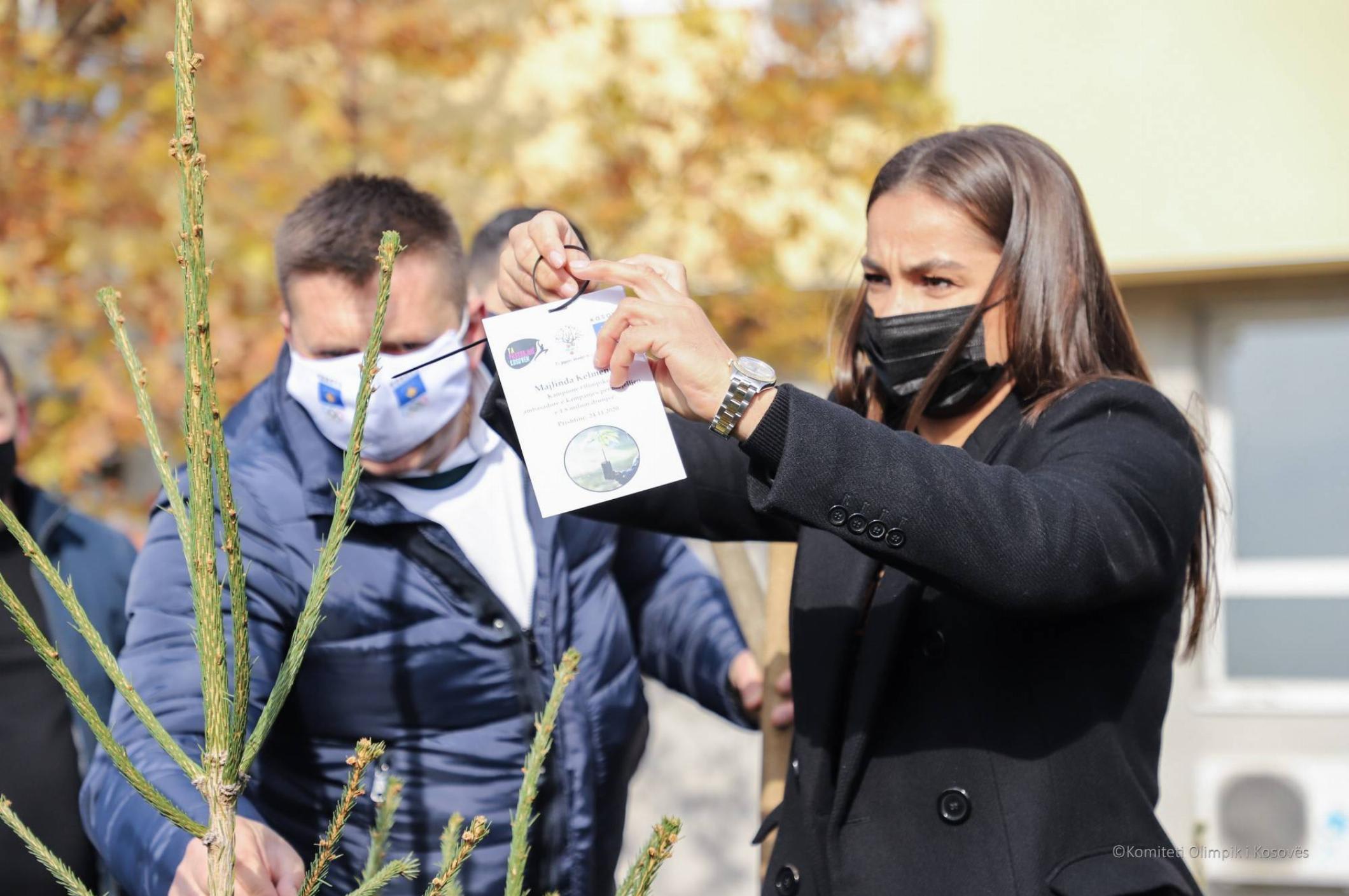 Olympic Highlights 14-12-2020 - Olympic News