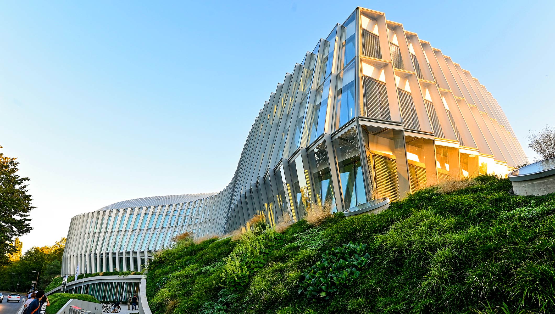 World Environment Day 2020: Building a healthier planet through sport ...