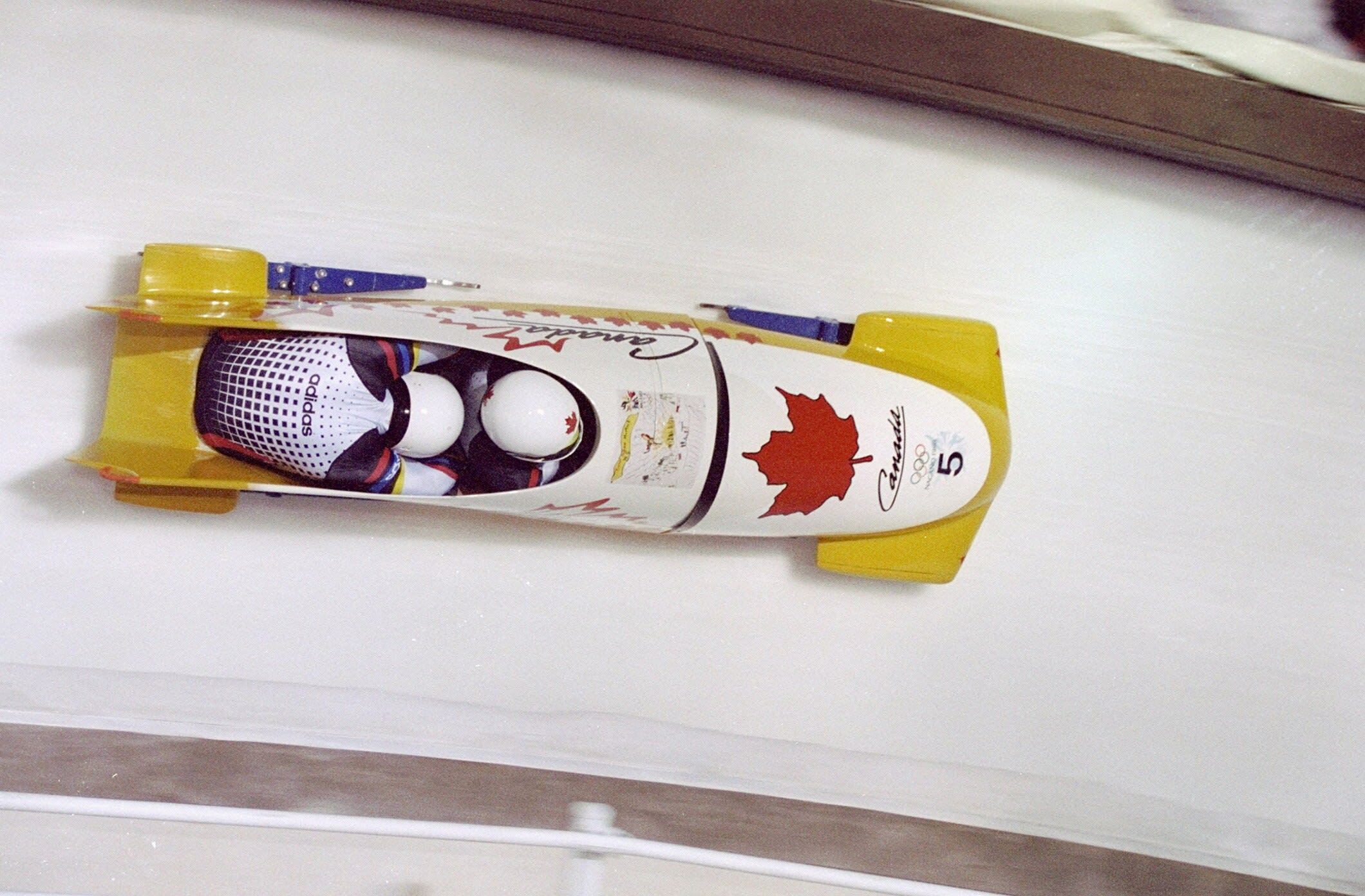 Sharing the golden spoils - Olympic News