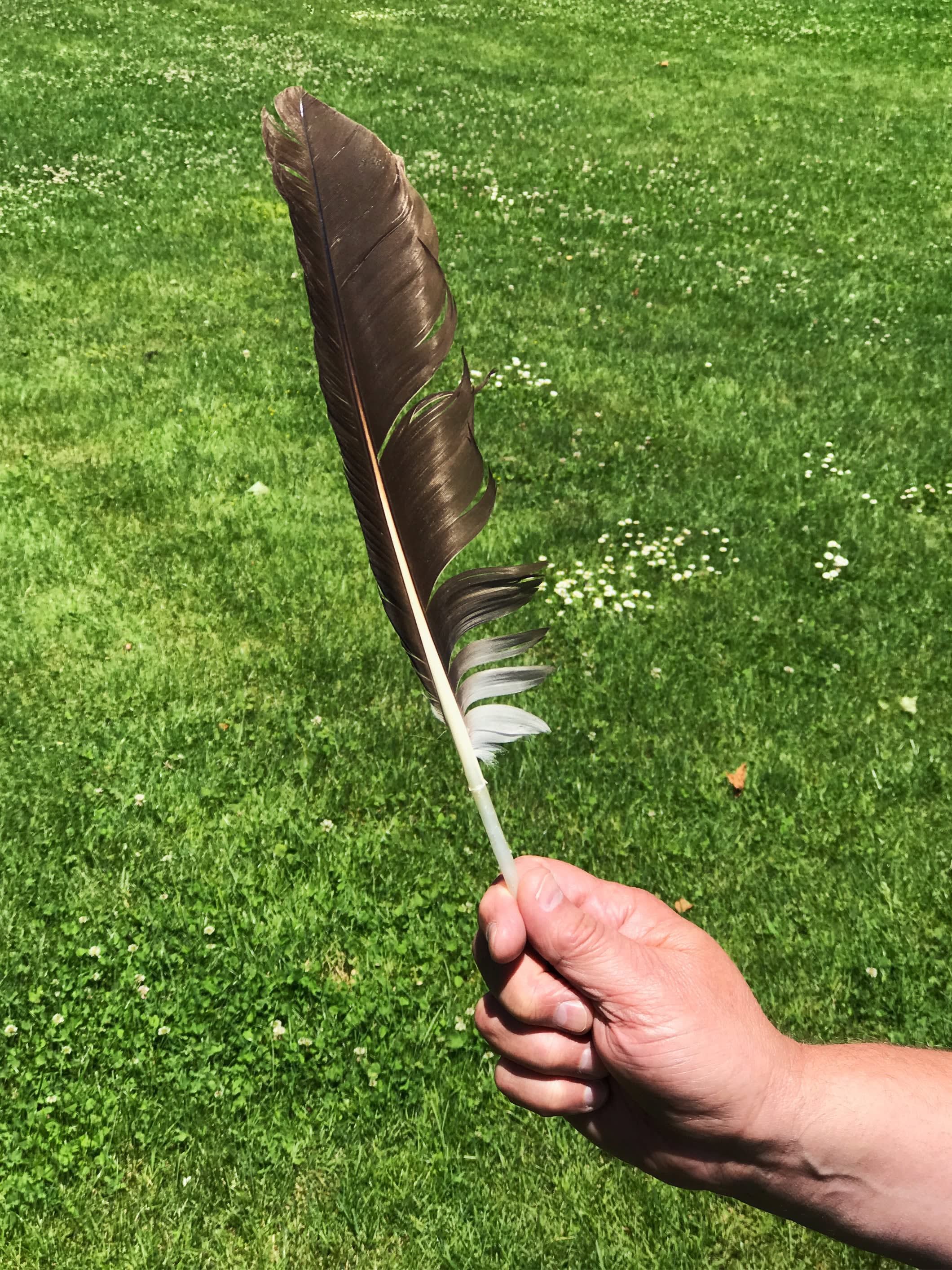 The Olympic torch relay: “a symbol of peace, friendship, tolerance and ...