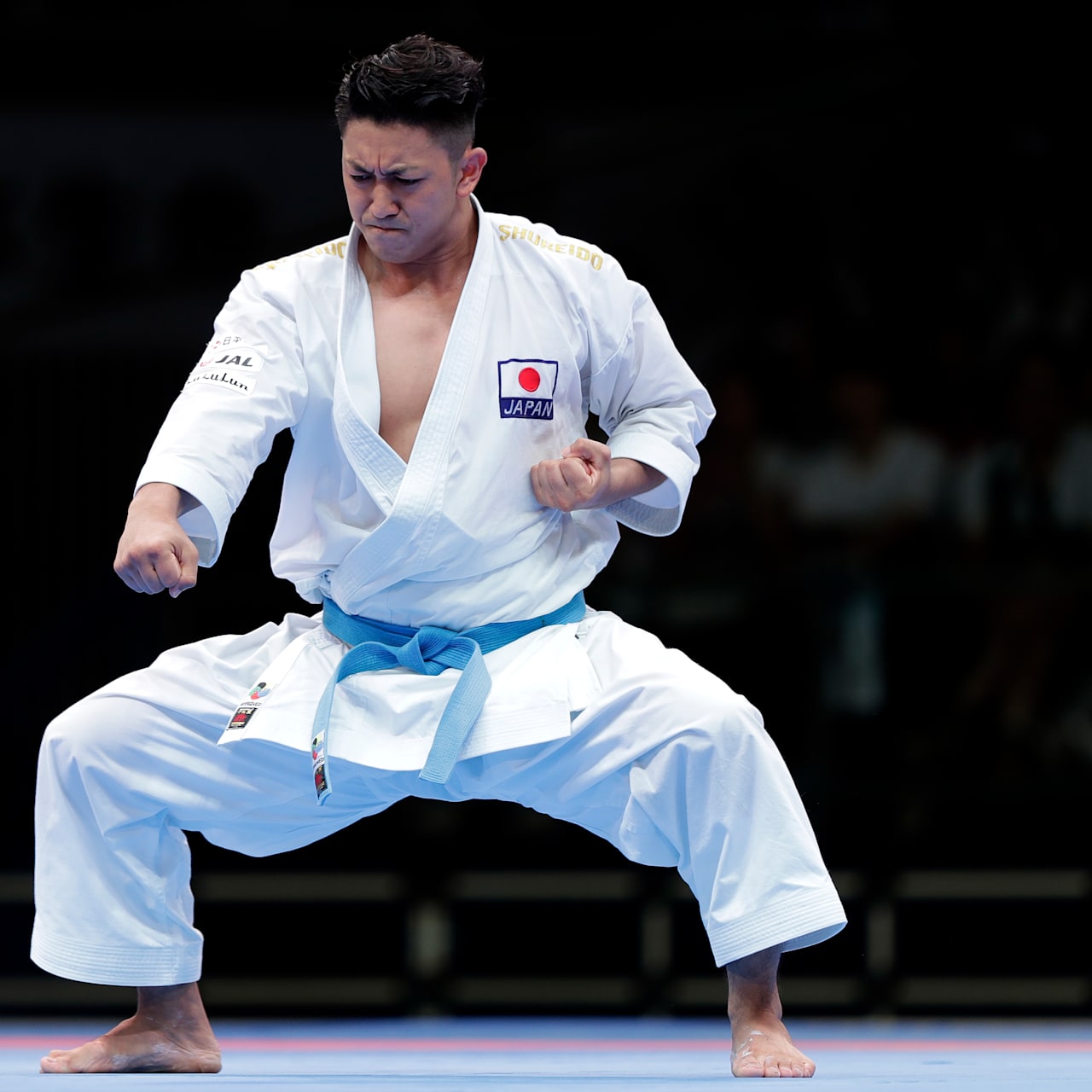 Japanese Karate Sports