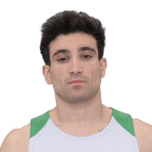 Reza ALIPOUR SHENAZANDIFARD