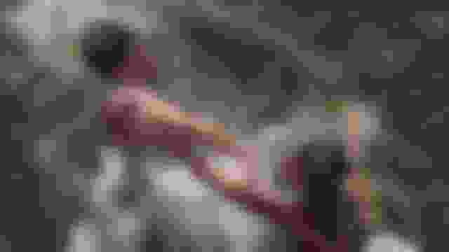 Marathon Swimming: Olympic history, rules, latest updates and upcoming ...