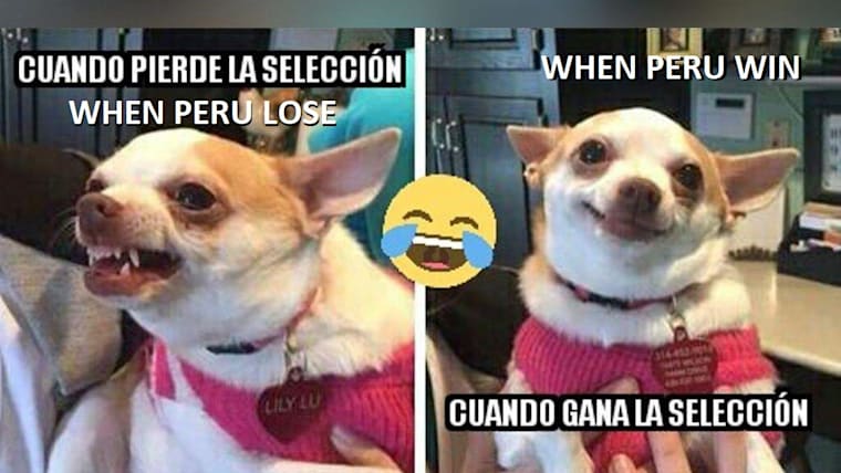 Funny Peru Memes