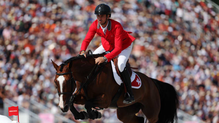 FEI - International Equestrian Federation