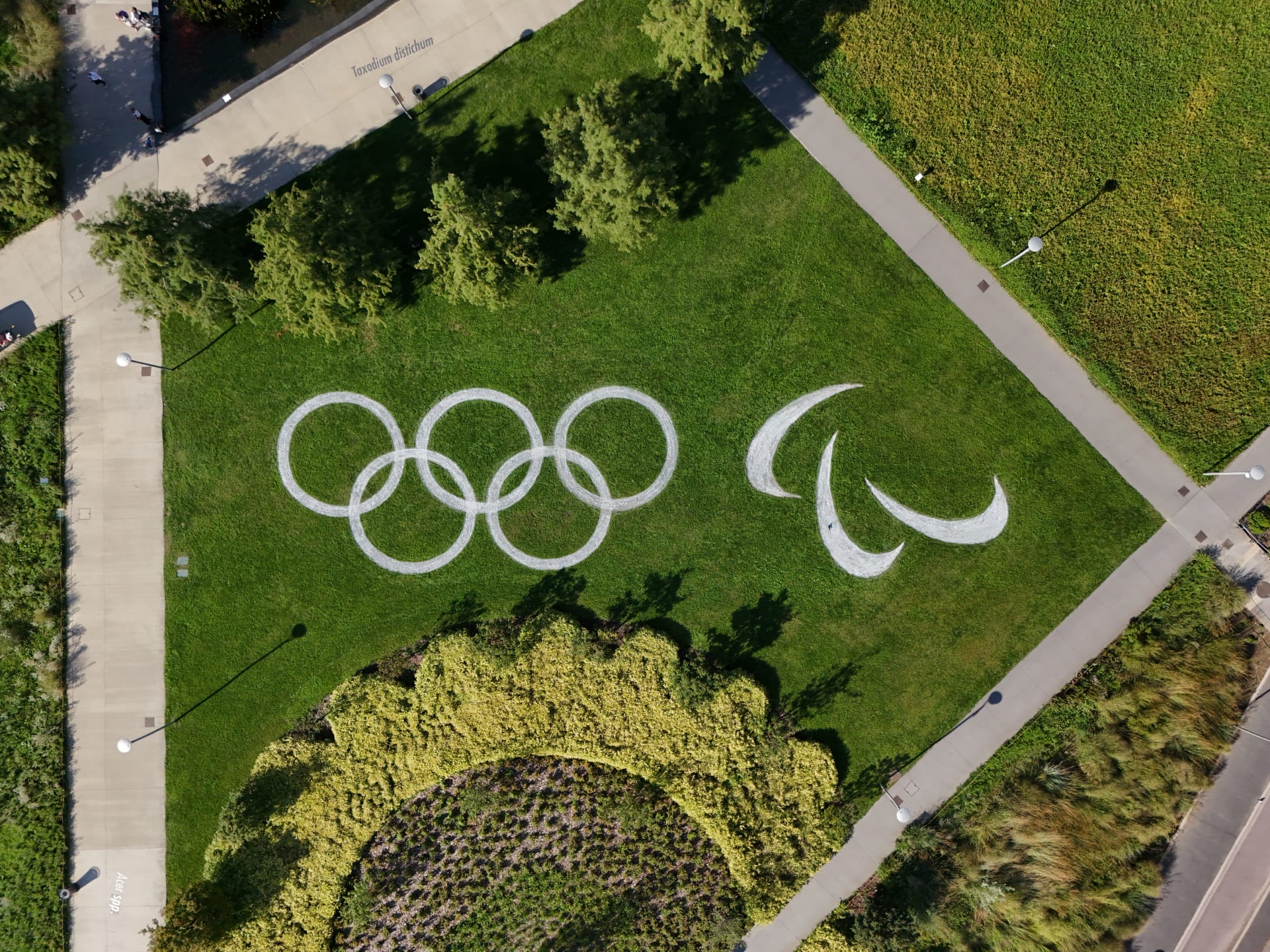 Olympic Museum - Biblioteca degli Alberi Milano