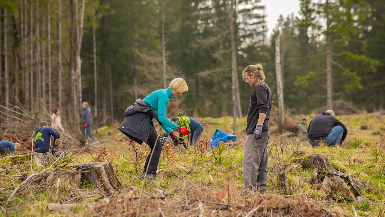Olympic Forest Network expands as India launches eco-restoration project