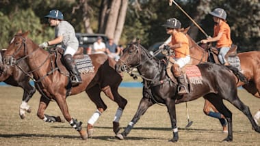 ARISF - Association of the IOC Recognised International Sports Federations