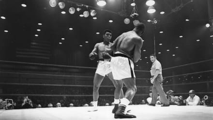 boxer attacks referee
