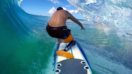 why shark attack surfer