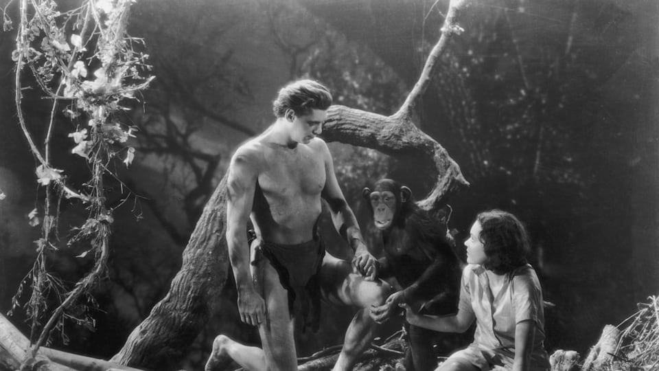 Tarzán brilla en los Juegos Olímpicos con cinco medallas de oro