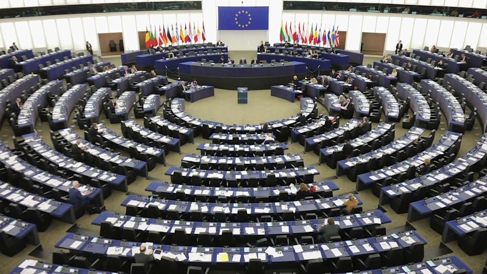 European Parliament acknowledges the importance of a values- and ...