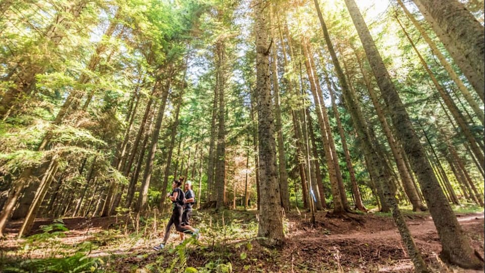 IOC Climate Action Awards 2025