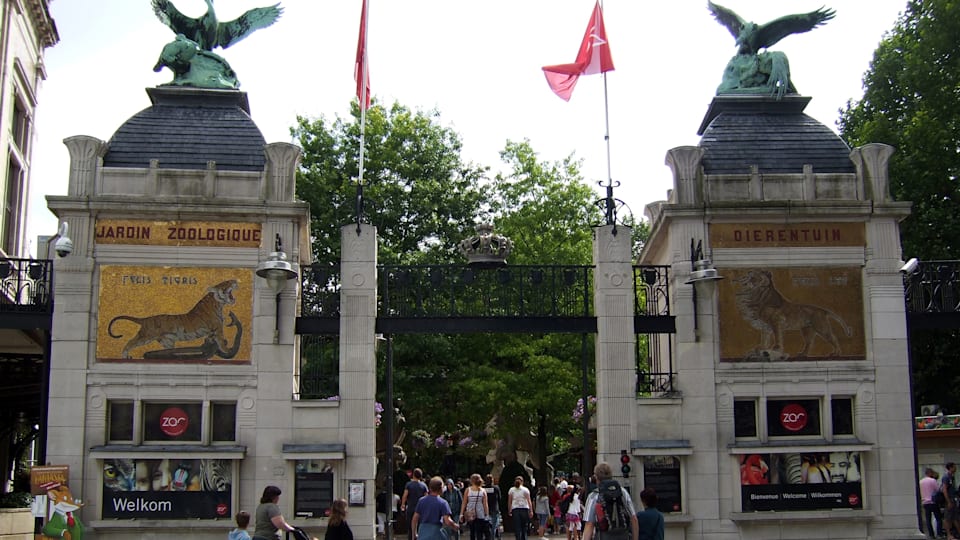 Antwerp Zoo - Olympic News