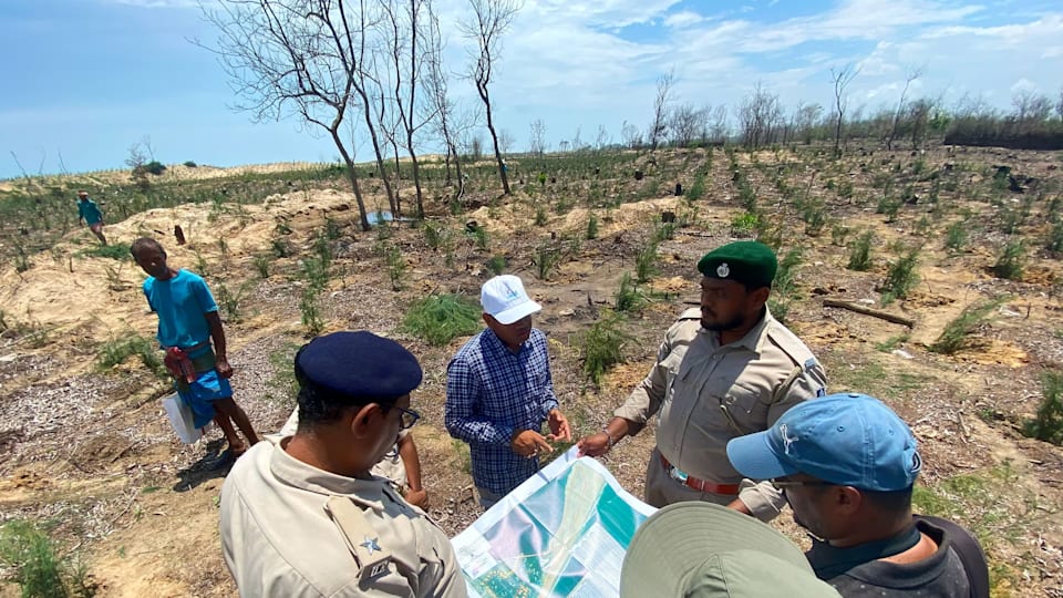 Olympic Forest Network expands as India launches eco-restoration project