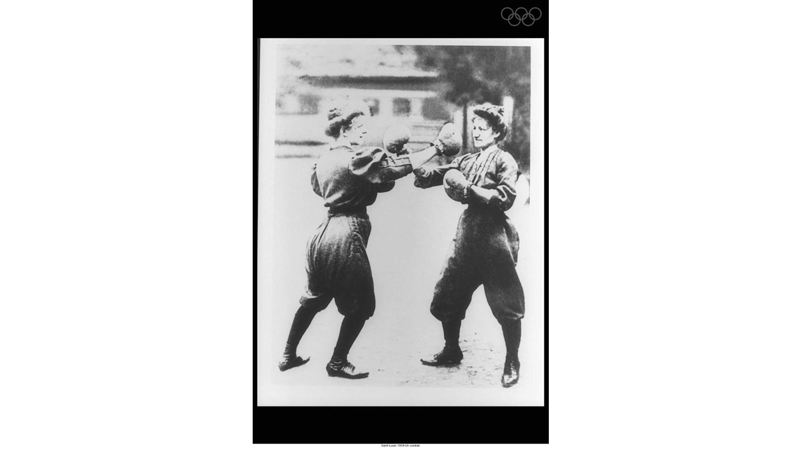 St. Louis 1904 Summer Olympics - Athletes, Medals & Results