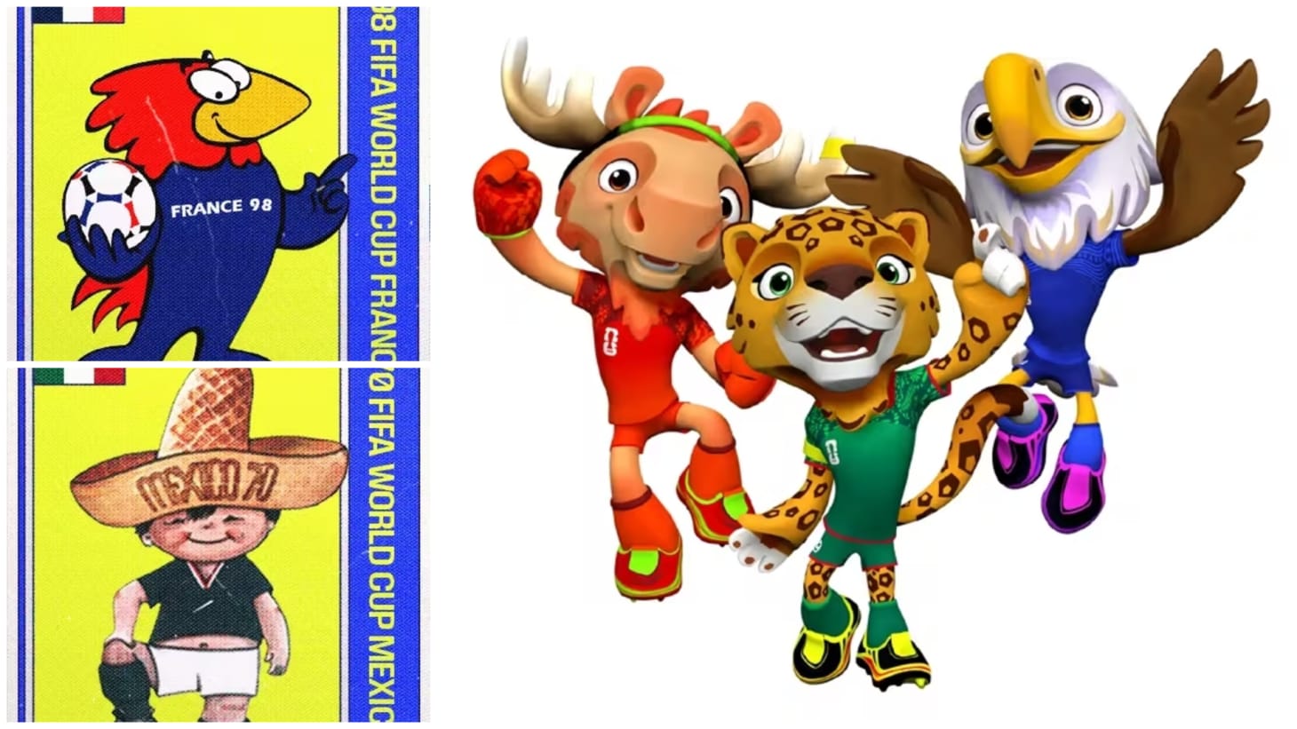 Todas Las Mascotas Del Mundo Kiwoko Mundo Animal | Tienda De Animales