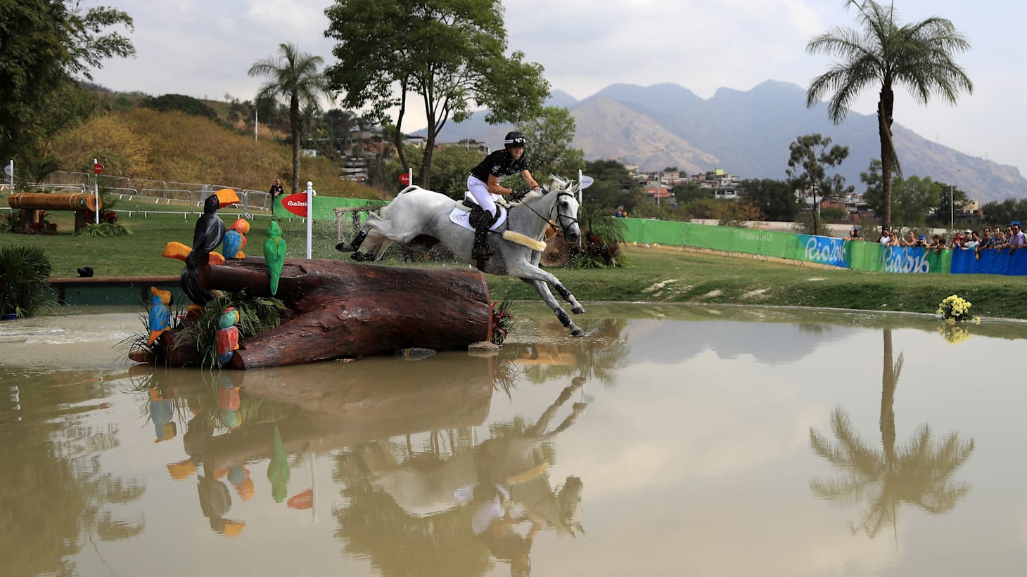 Olympic Horse Cross Country