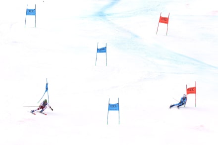 Technical Analysis: The Difference Between Parallel Slalom & Giant ...