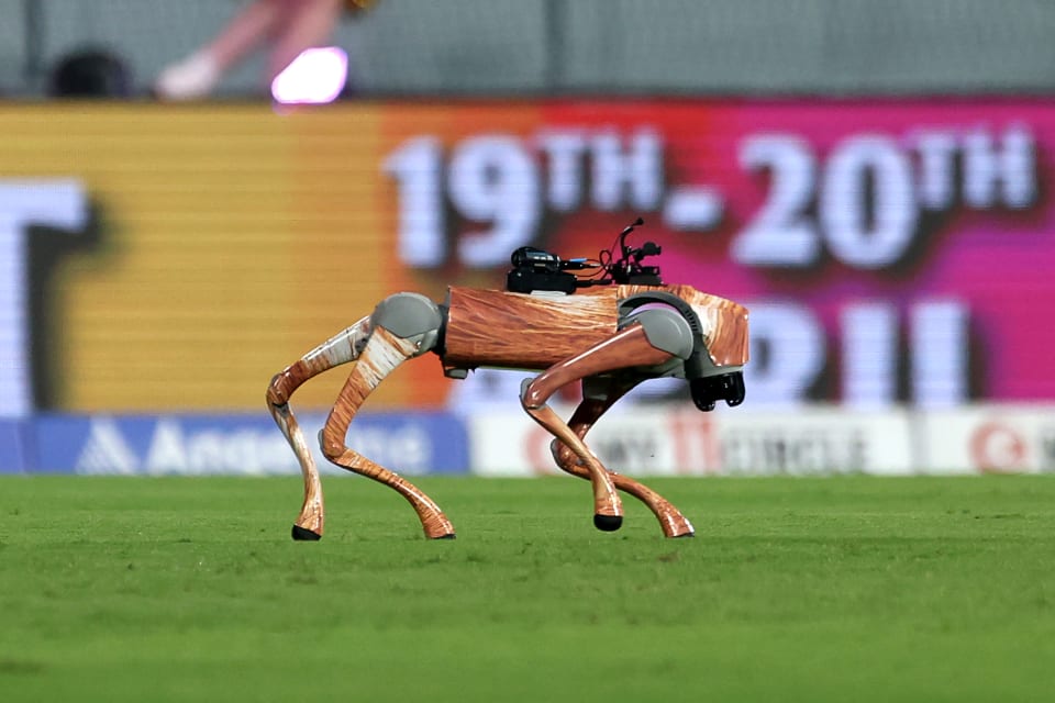 IPL robot dog - all you need to know