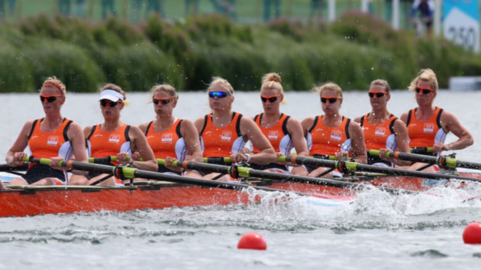 Netherlands make Eights final - London 2012 - Rowing - Olympic News