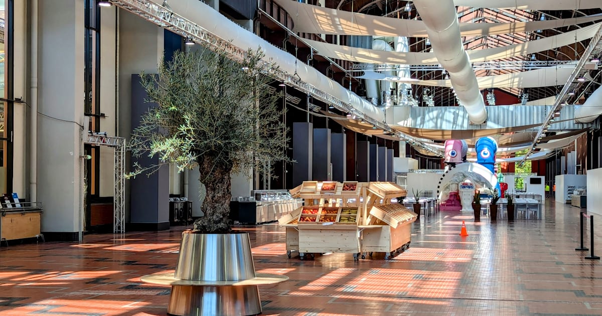 Global delights, veggie cuisine and local flavours: Inside the Paris ...