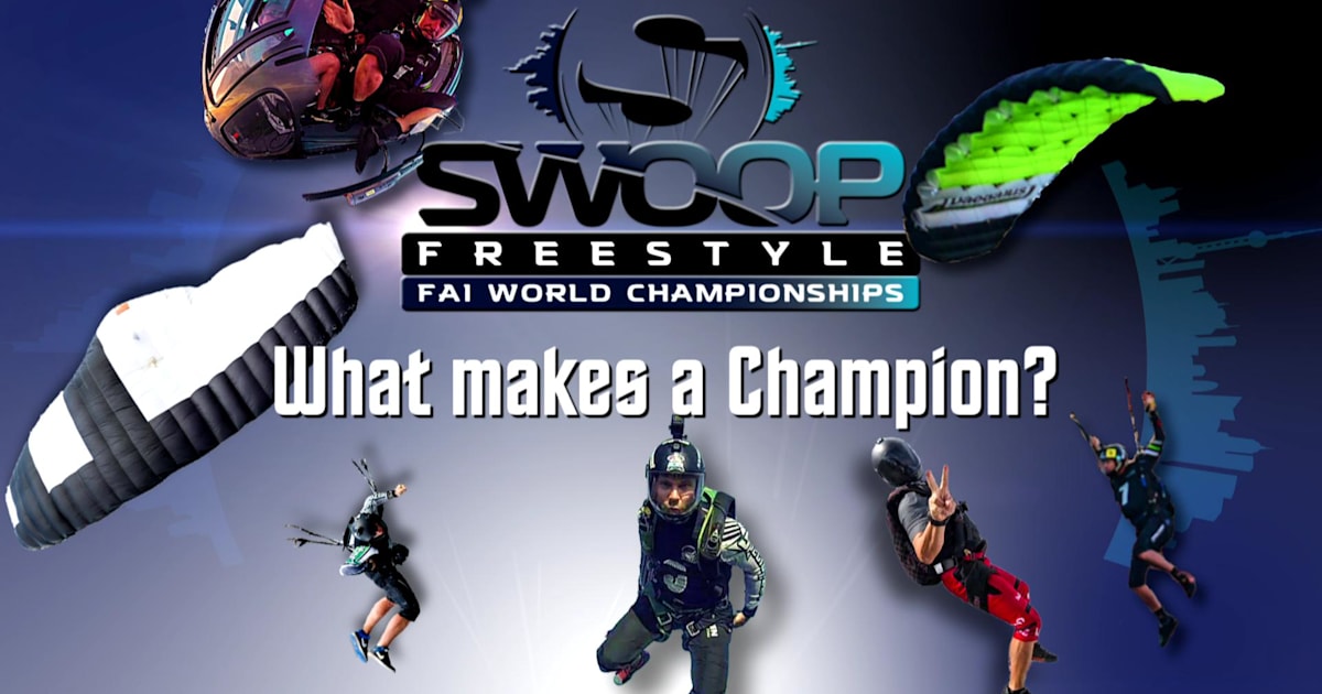 What Makes a Champion?