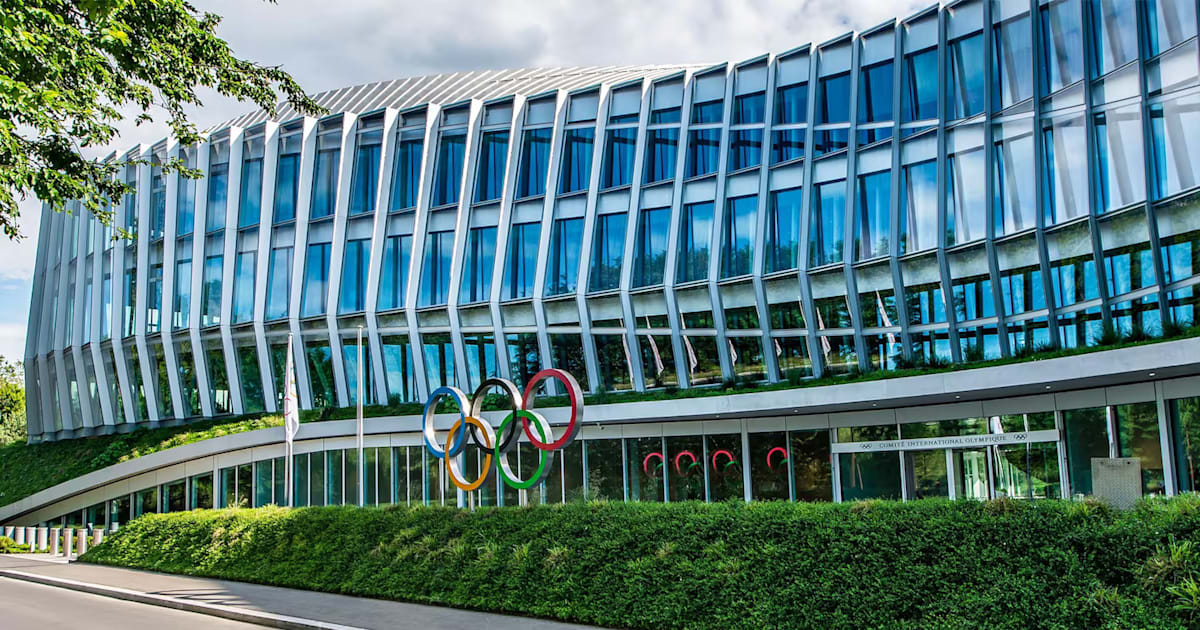 The IOC as an organisation