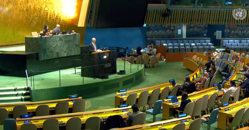 United Nations General Assembly Unga