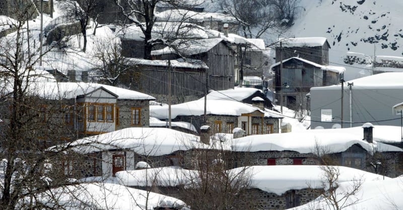 greek-leg-day-4-album