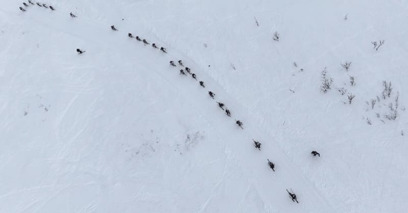 Into the Unknown | Trailer