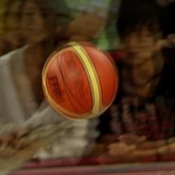 does carmelo anthony have a ring